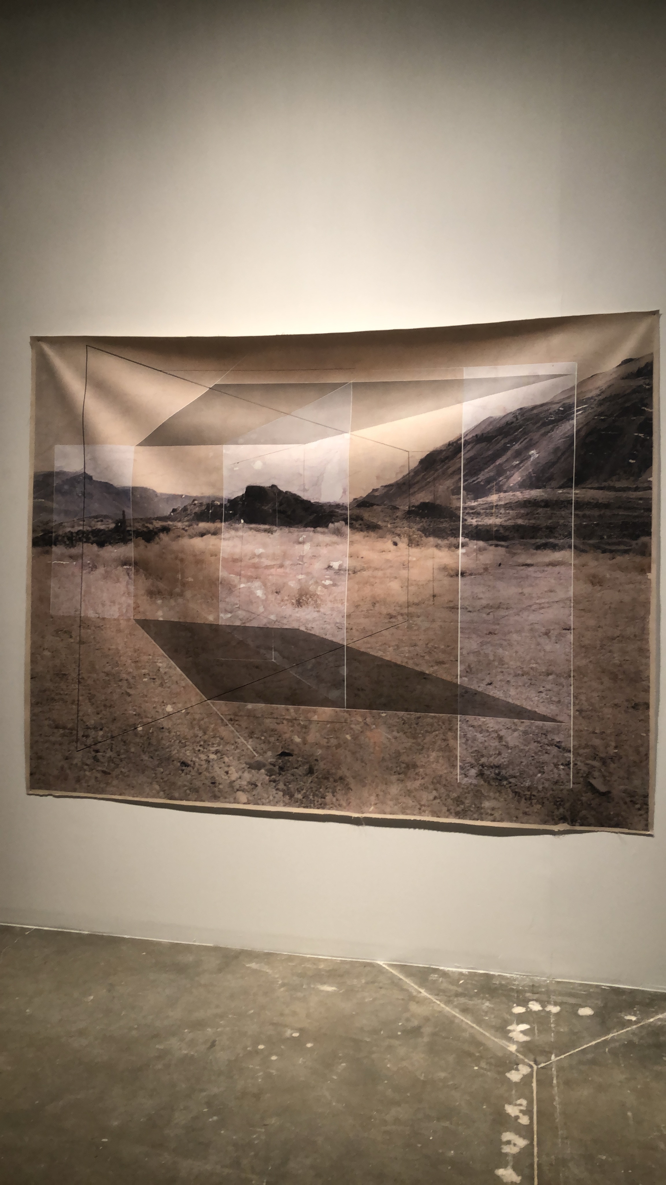 MOCA Spreads Wings With ‘Monarchs’: Fascinating Exploration of Native ...